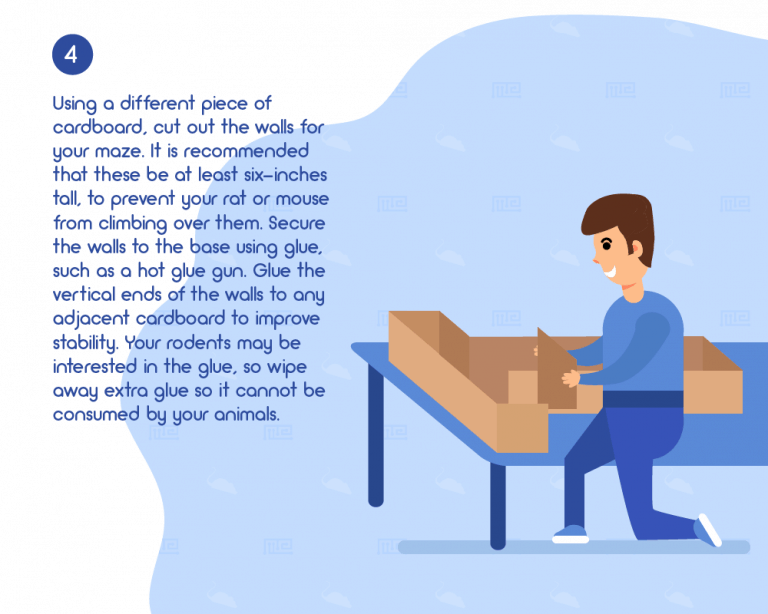 Do-It-Yourself: How to Build a Rat Maze - Maze Engineers