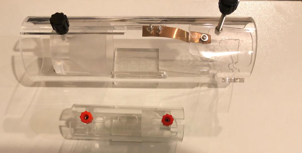 Tail Flick Test - Maze Engineers