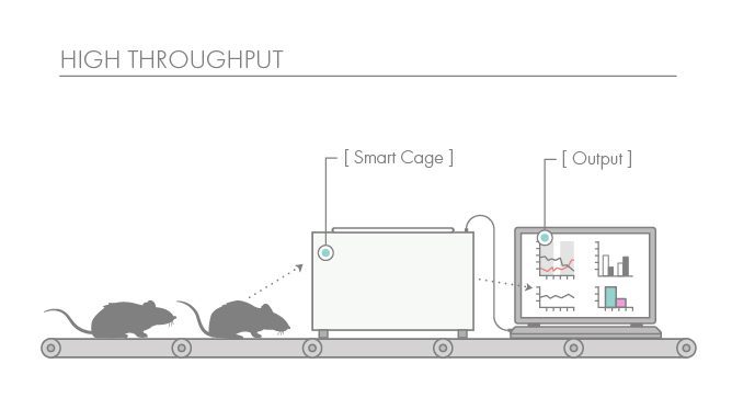 SmartCage System - Maze Engineers