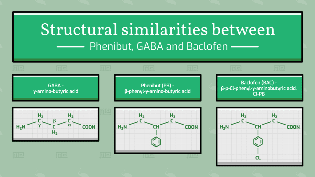 Phenibut: A Nootropic Needing More Behavioral Studies - Maze Engineers