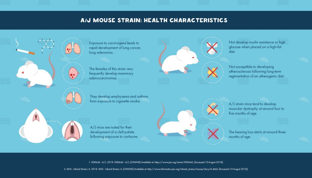 A/J Mouse Strain Characteristics | Maze Engineers