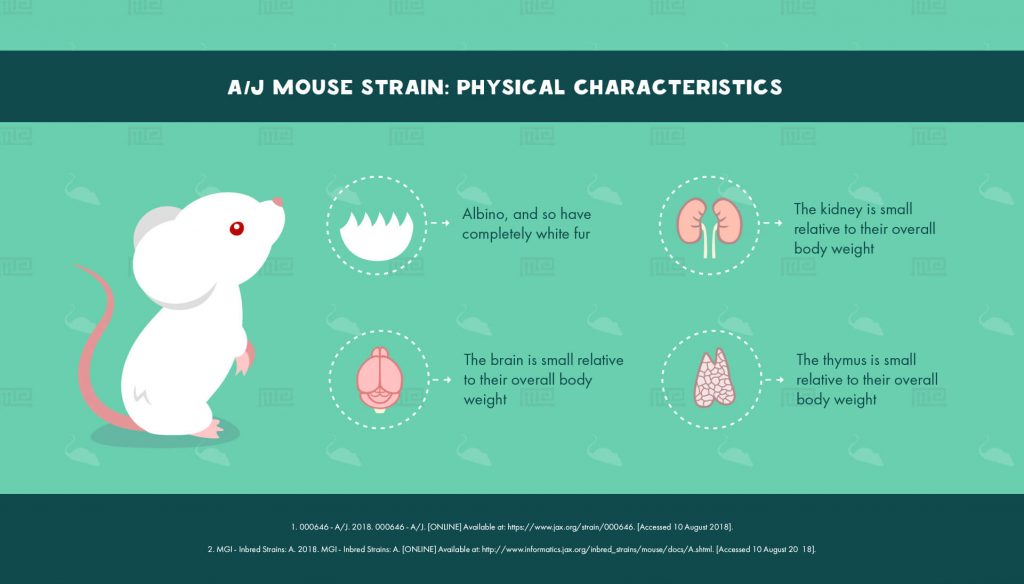 A/J Mouse Strain Characteristics | Maze Engineers
