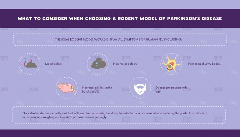 Rodent Models of Parkinson’s Disease: A General Overview - Maze Engineers