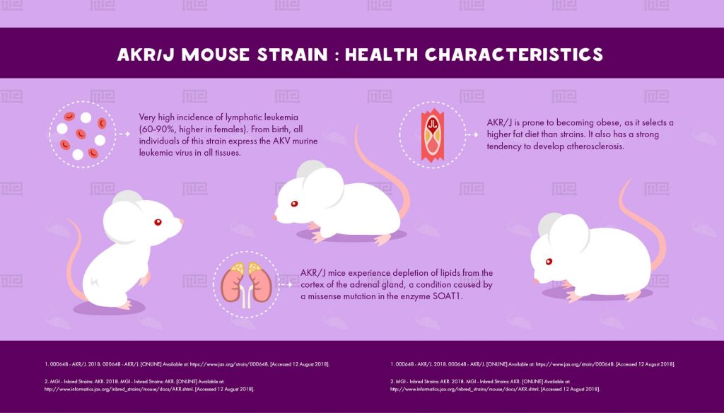 AKR/J Mouse Strain Characteristics | Maze Engineers