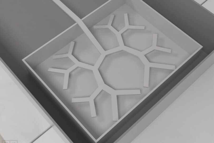 Ants - Maze Engineers