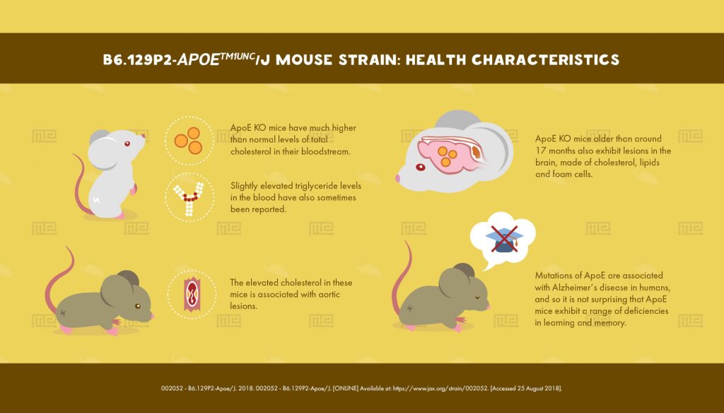 B6.129P2-Apoetm1Unc/J Mouse Strain - Maze Engineers