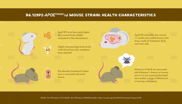 B6.129P2-Apoetm1Unc/J Mouse Strain - Maze Engineers