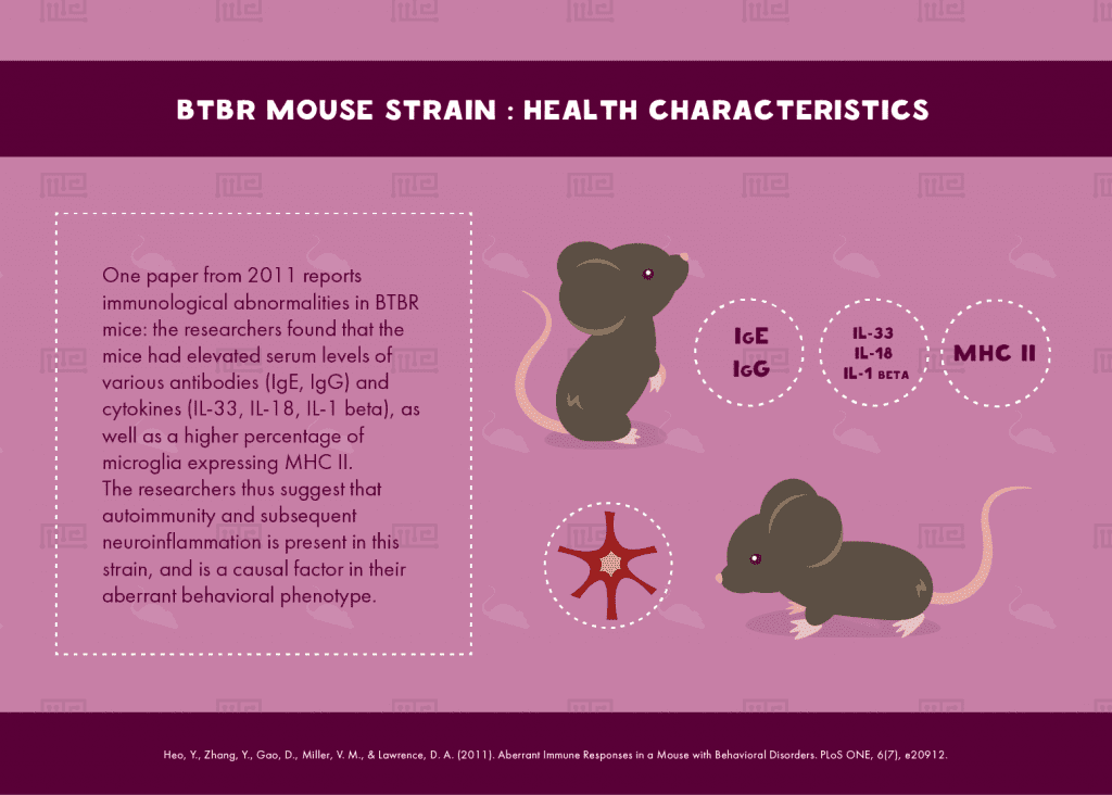 BTBR mice show autism-like deficits in social interaction, play, etc