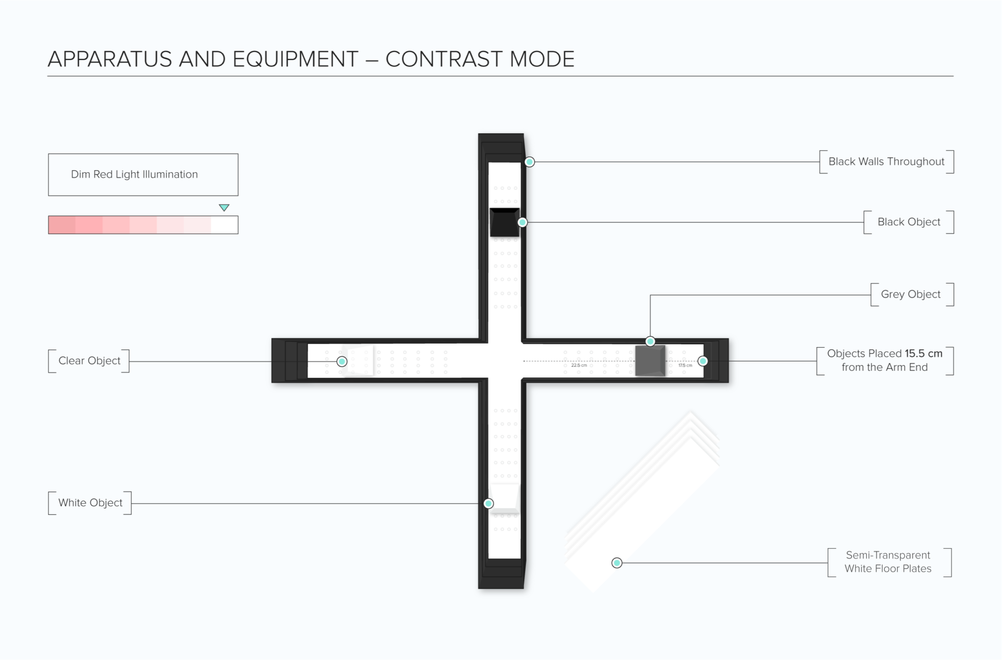 Visual X Maze (ViS4M) - Maze Engineers