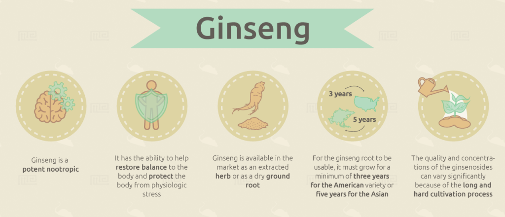 Ginseng’s Nootropic Effects on Behavior and Cognition - Maze Engineers