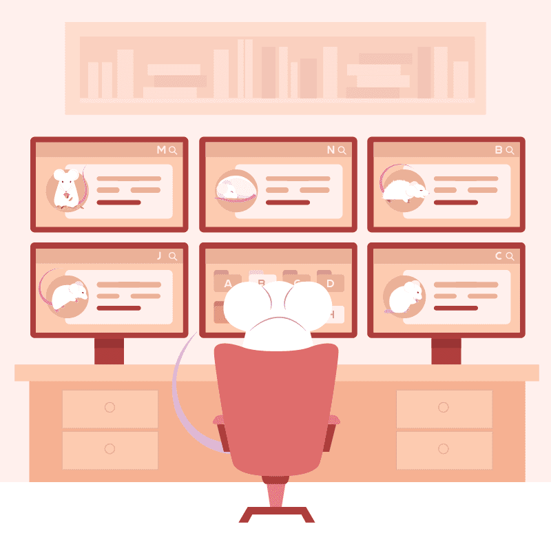 Maze Engineers Mouse Ethogram - Maze Engineers