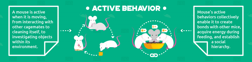 Active Behaviors - Maze Engineers
