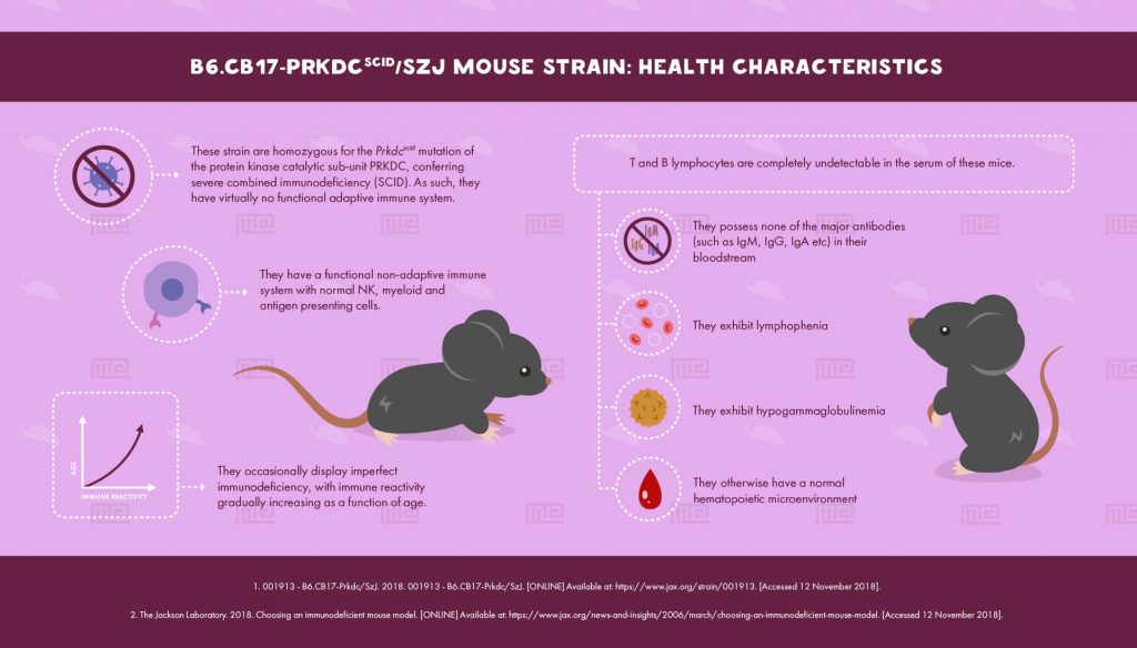 B6.CB17-Prkdcscid/SzJ Mouse Strain - Maze Engineers