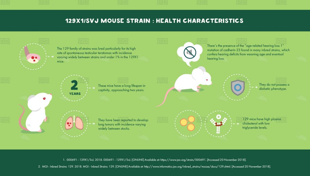 The Characteristics of 129x1 mice - Maze Engineers