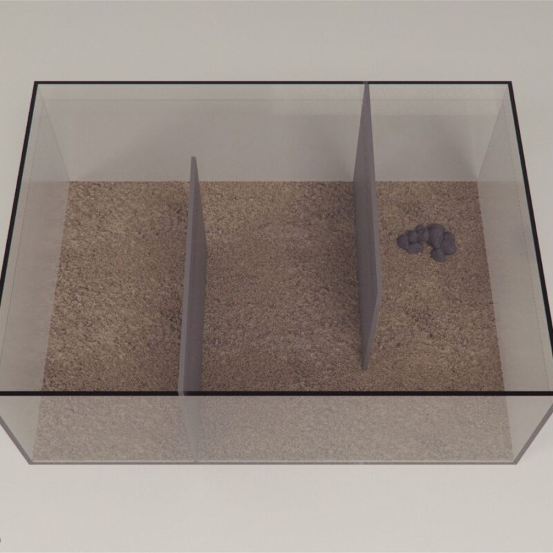 Lobster Archives - Maze Engineers