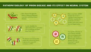 An Overview of Mouse Models of Prion Disease - Maze Engineers