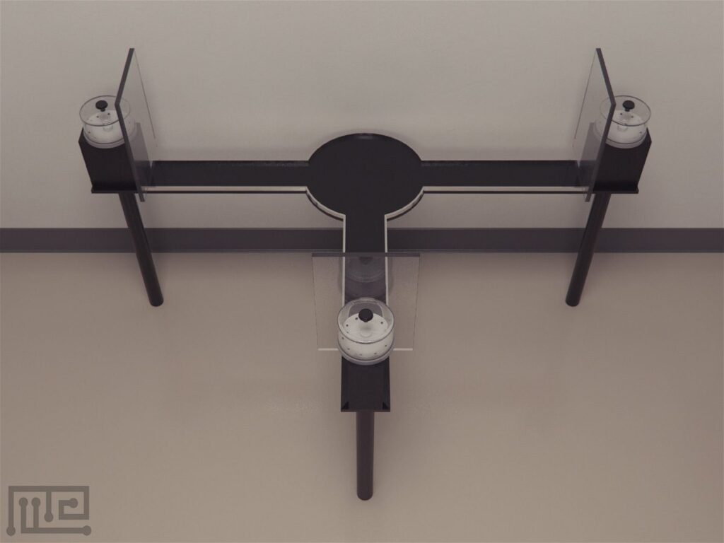 Circular Central Platform T Maze - Maze Engineers