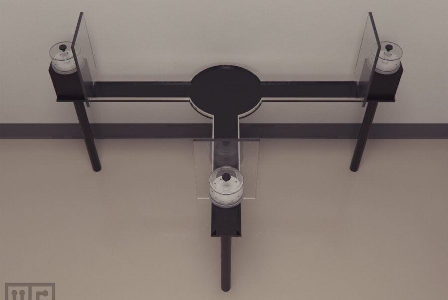 Spotlight Learning - Maze Engineers