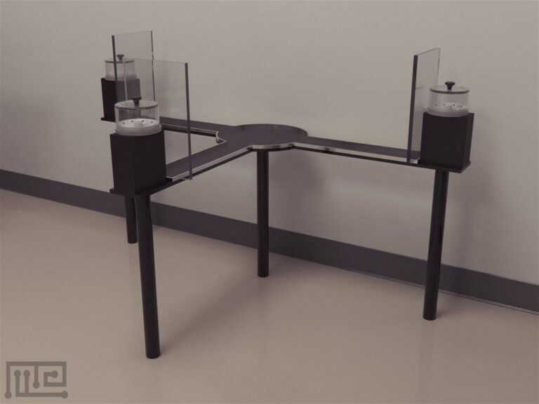Circular Central Platform T Maze - Maze Engineers