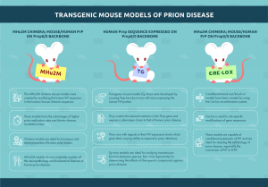 An Overview of Mouse Models of Prion Disease - Maze Engineers