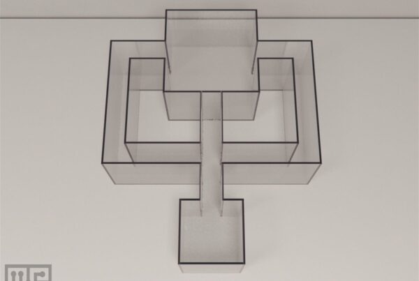 Zebrafish - Maze Engineers