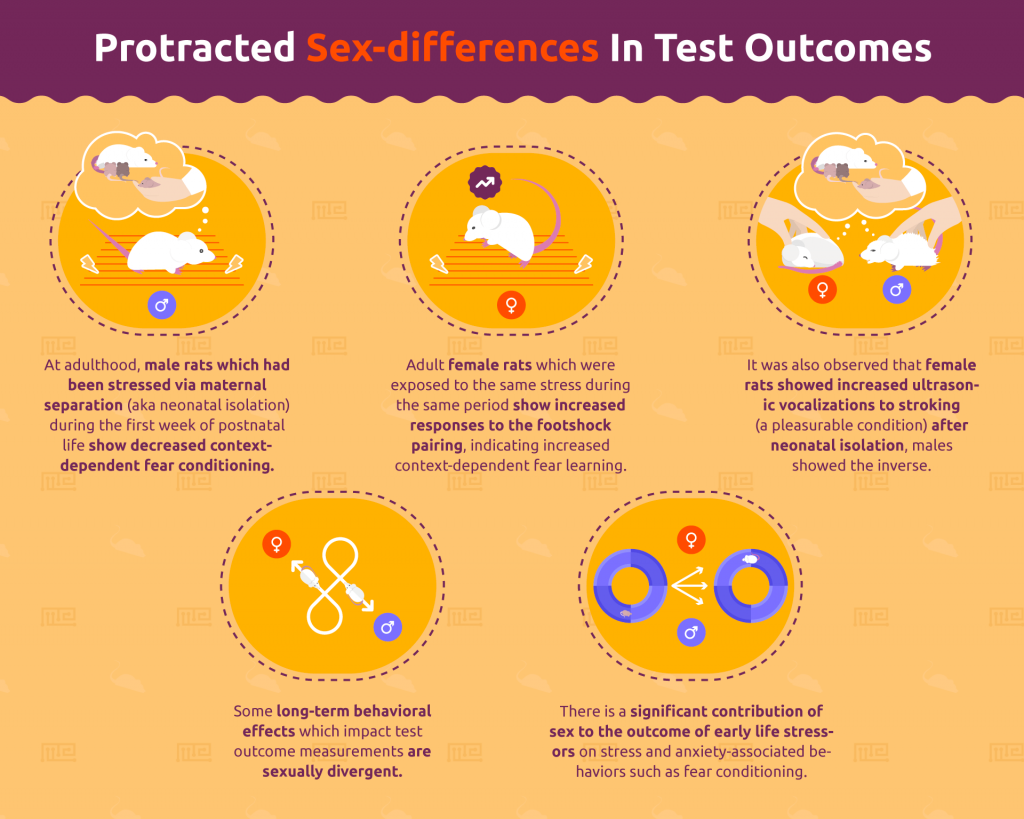 Are There Sex Differences In The Test Outcomes Maze Engineers