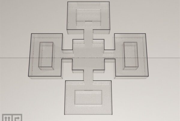 Zebrafish - Maze Engineers