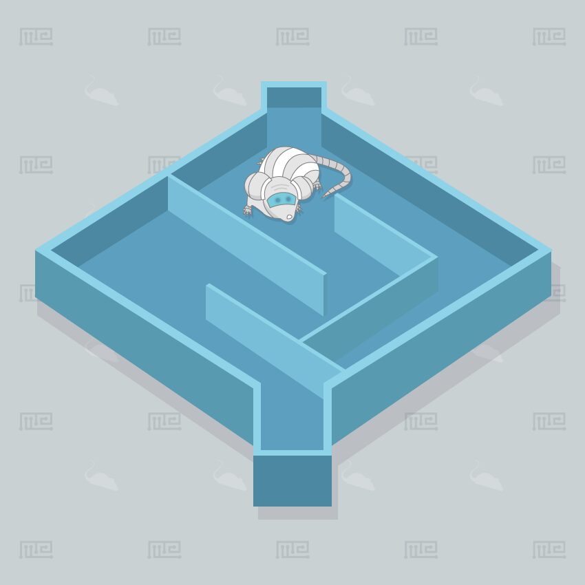 Neurorobotics - Maze Engineers