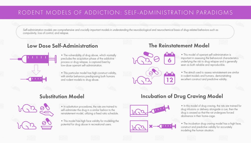 Rodent models of drug addiction - Maze Engineers