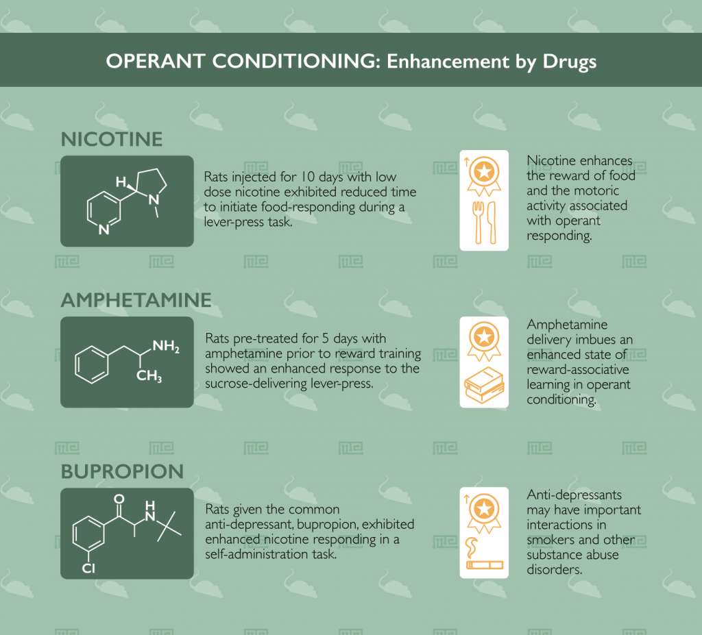 Operant Conditioning: Enhancement by Drugs - Maze Engineers