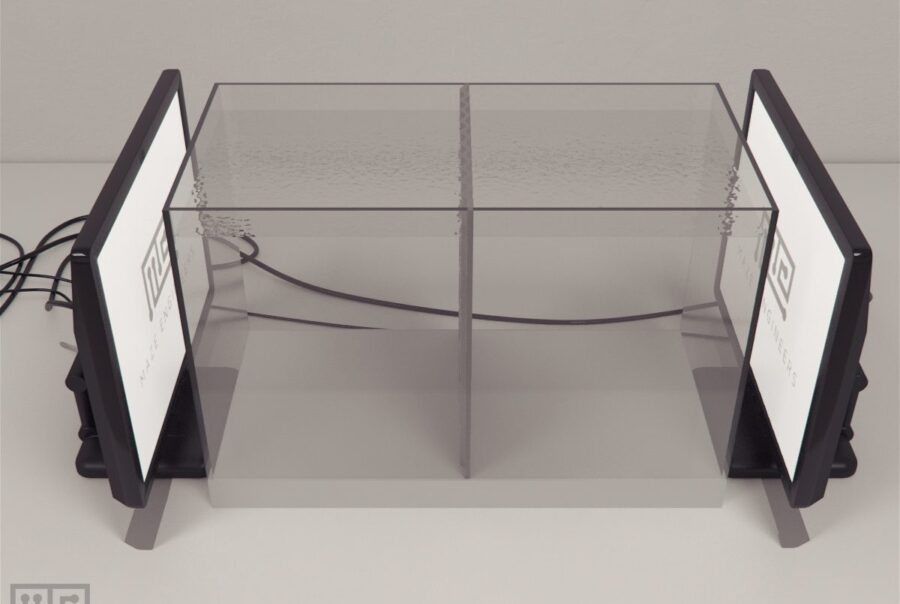 Zebrafish - Maze Engineers