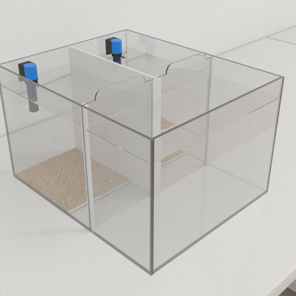 Visual Cues Archives - Maze Engineers