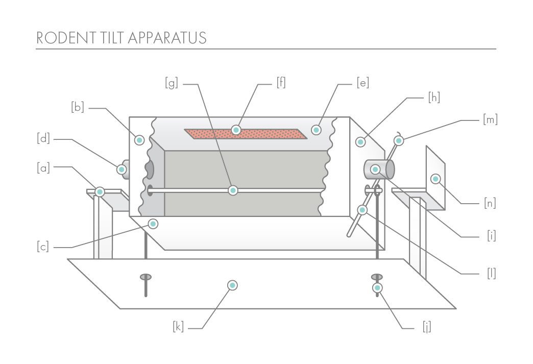 Rodent Tilt Apparatus - Maze Engineers