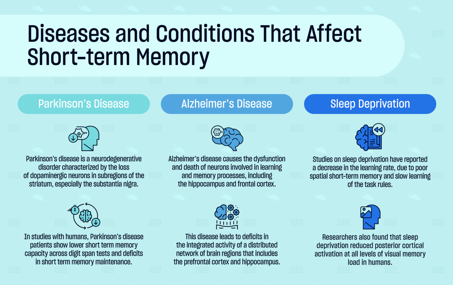 Short Term Memory - Maze Engineers.