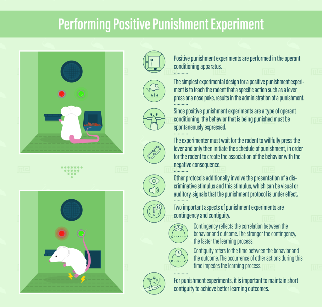 Positive Punishment Using Operant Conditioning - Maze Engineers