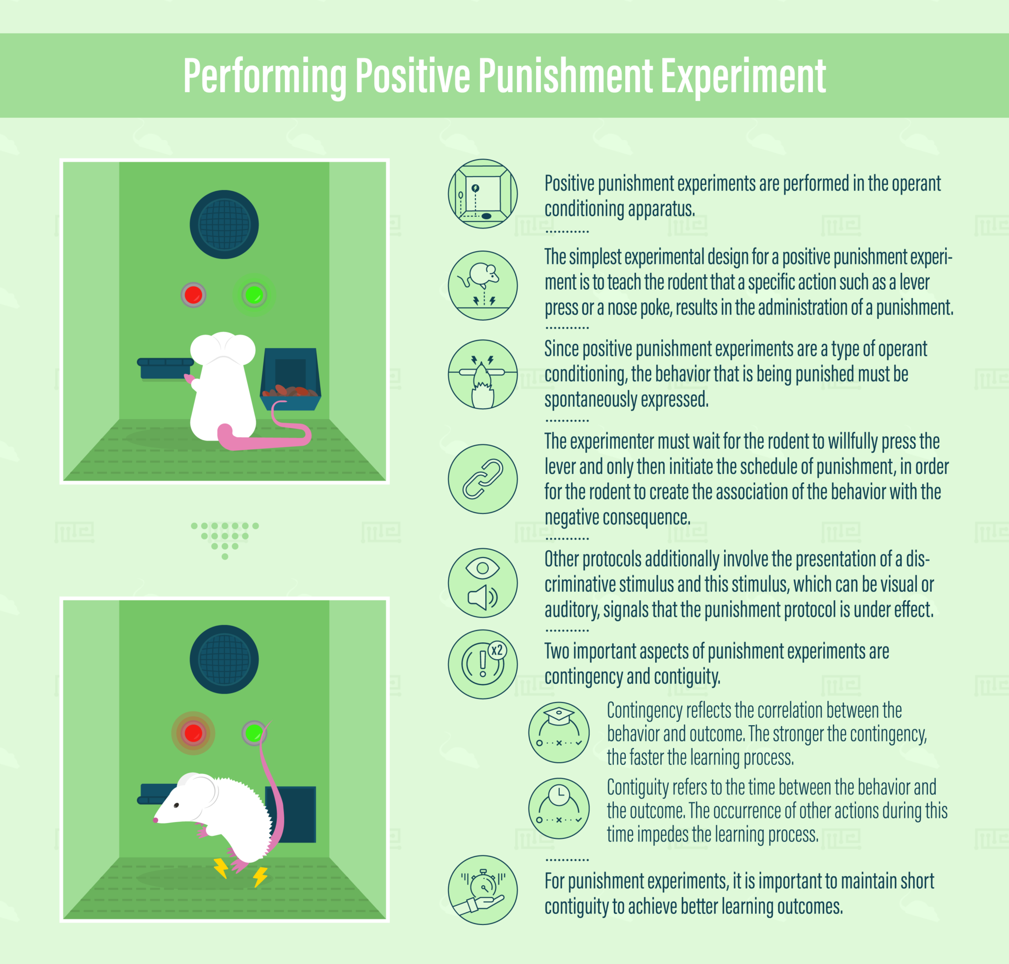 Positive Punishment Using Operant Conditioning - Maze Engineers