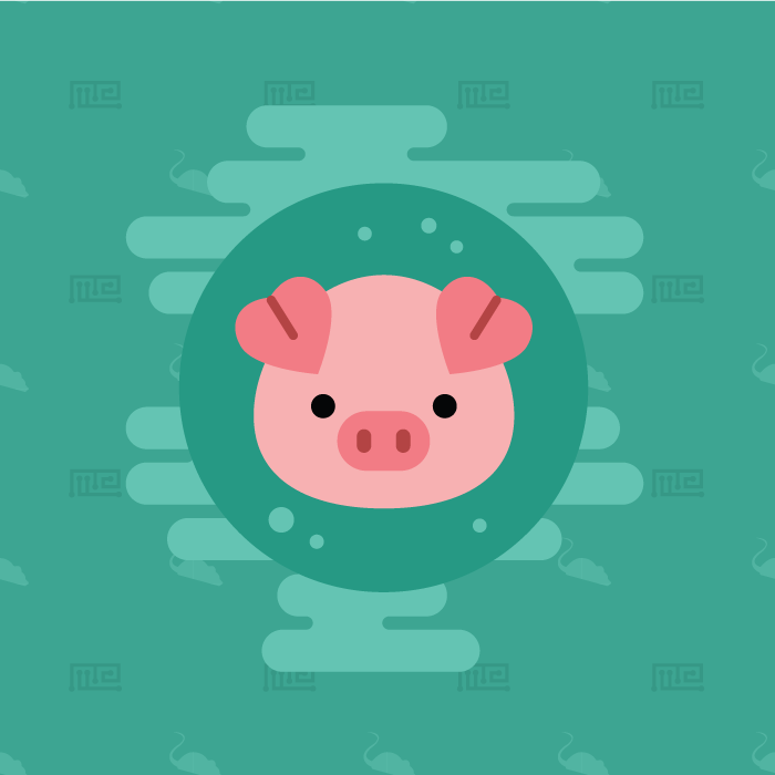 Pigs - Maze Engineers