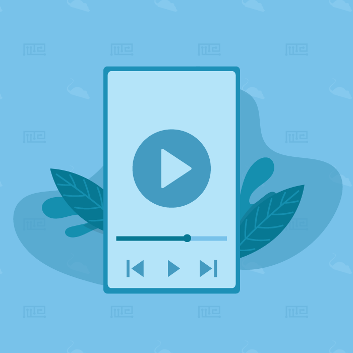 Video Tracking - Maze Engineers