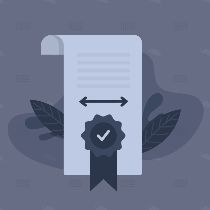 Extended Service Plan - Maze Engineers