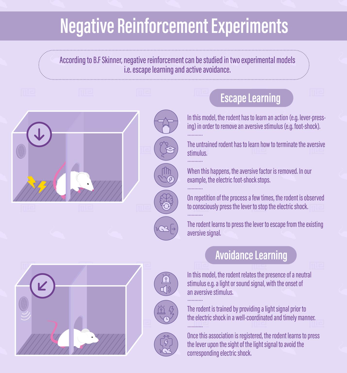 Negative Reinforcement Using Operant Conditioning - Maze Engineers