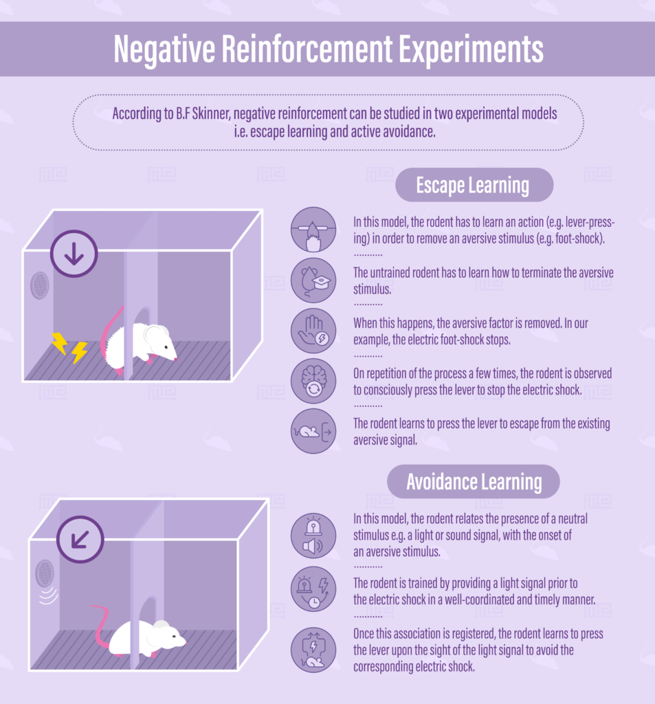 Negative Reinforcement Using Operant Conditioning - Maze Engineers