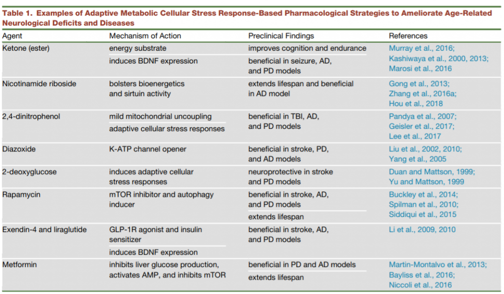 Aging as a Disease Model - Maze Engineers