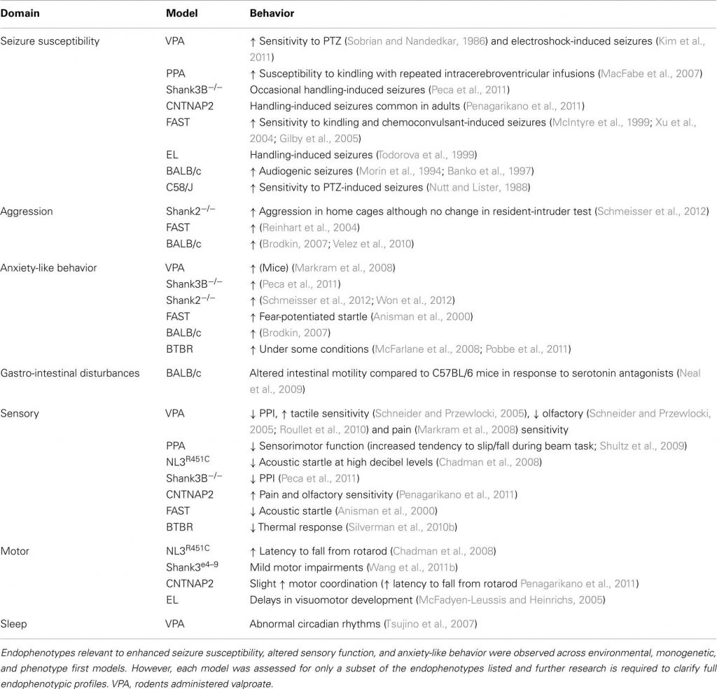 Autism in Mice: Developing Behavioral Standards | Maze Engineers