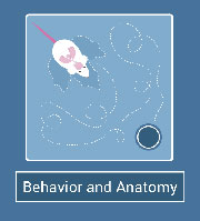 MazeEngineers: Behavioral Neuroscience