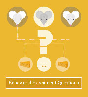 MazeEngineers: Behavioral Neuroscience