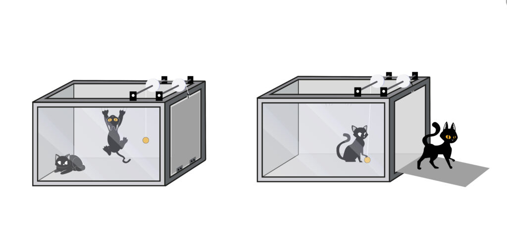 What is Operant Behavior and How to Study It - Maze Engineers